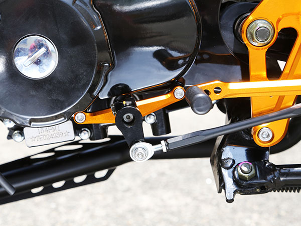 GPX DOMON ('16-) STEP